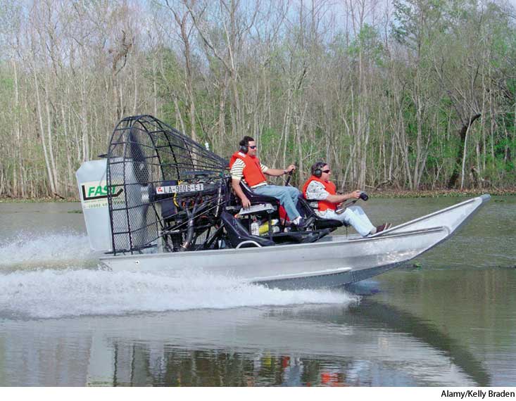 American Heritage Dictionary Entry: