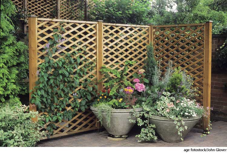 American Heritage Dictionary Entry: treillage